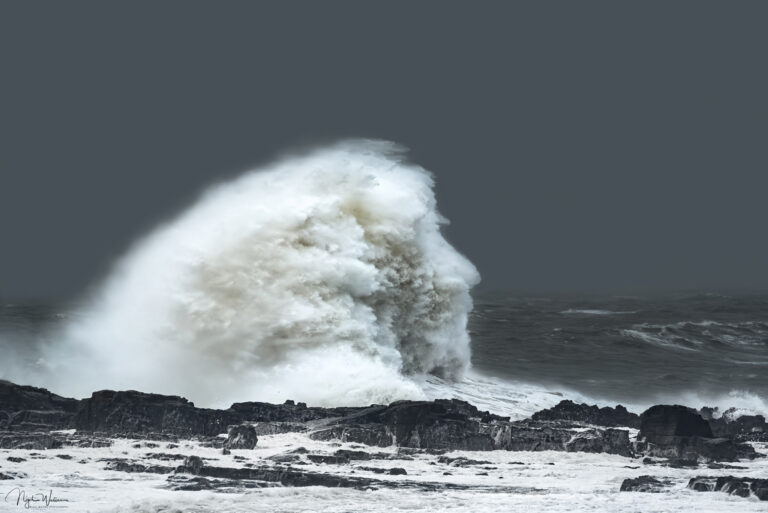 Capture The Moment Photography | What it means to photographers