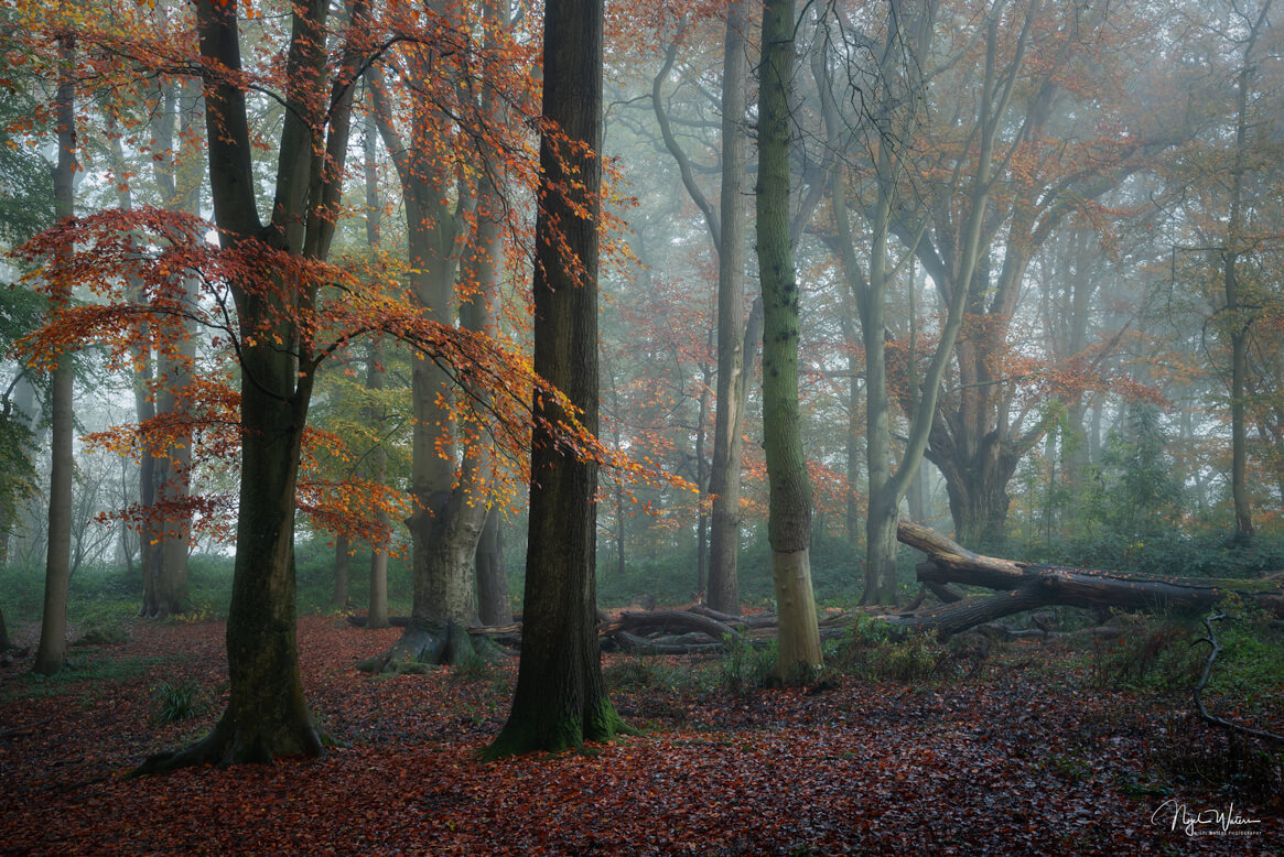 How to create Orton Effect in Photoshop