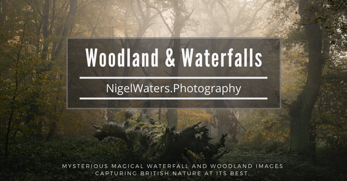 Woodland and Waterfall Photography by Nigel Waters
