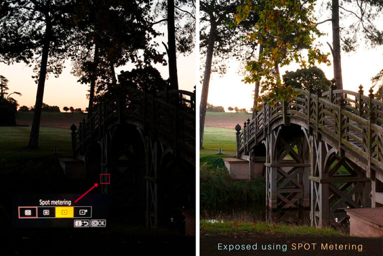 What is Spot Metering: Everything You Need to Know